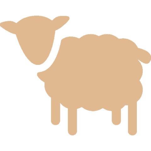 Nos viandes | Chassineau Viandes